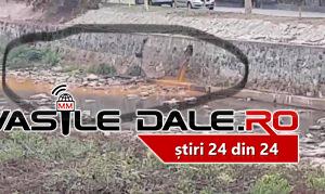 DIN NOU: RAUL SASAR POLUAT CU APE REZIDUALE DIN MINERIT? NOI AM AFLAT ...