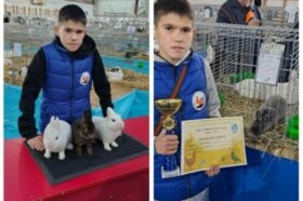 Polițiștii au desfășurat acțiuni preventive în școli din Sighetu ...